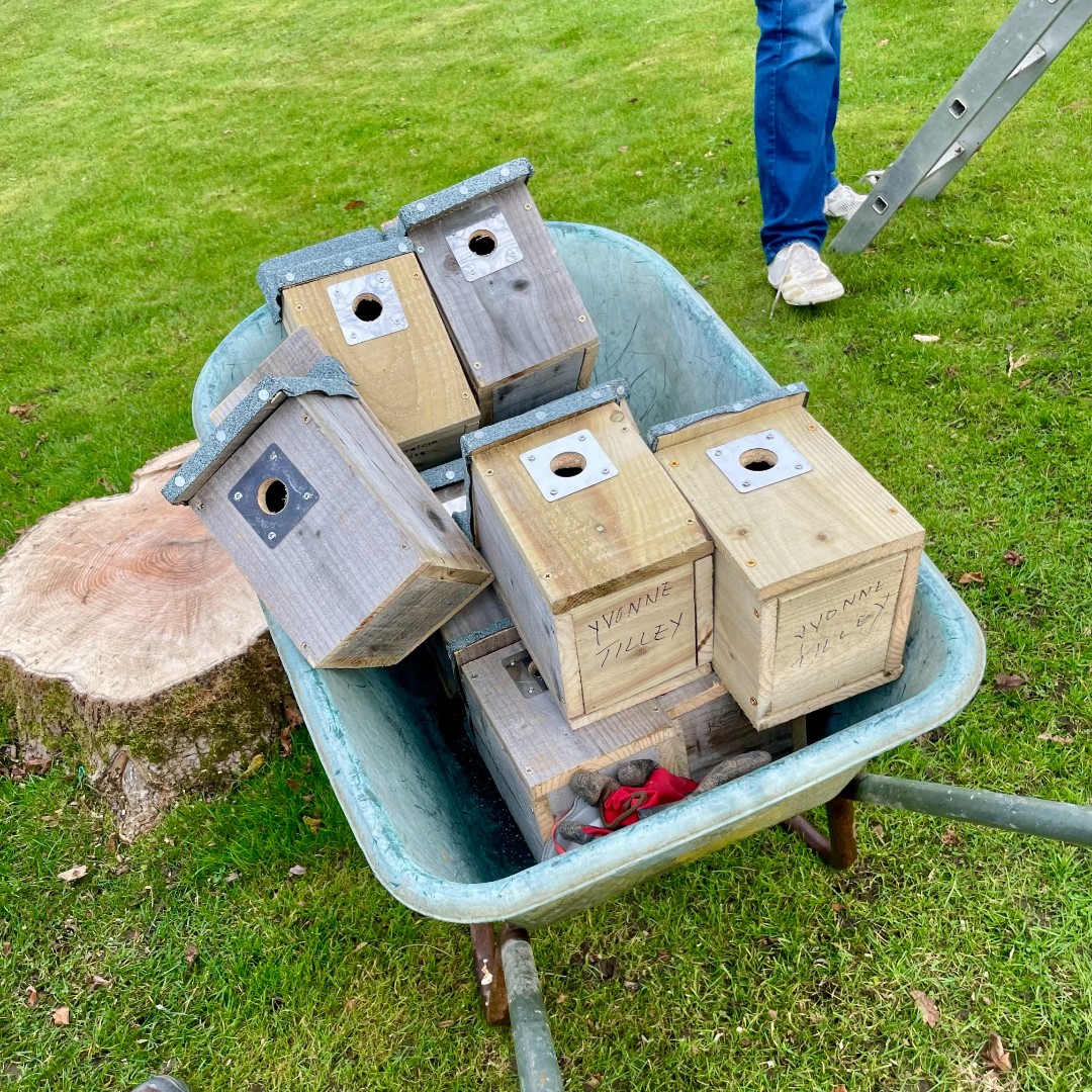Middleton Hall bird box project takes flight with community support ...